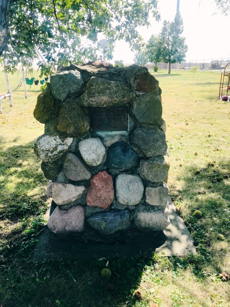 Chestnut High School “Wildcats” – Illinois High School Glory Days